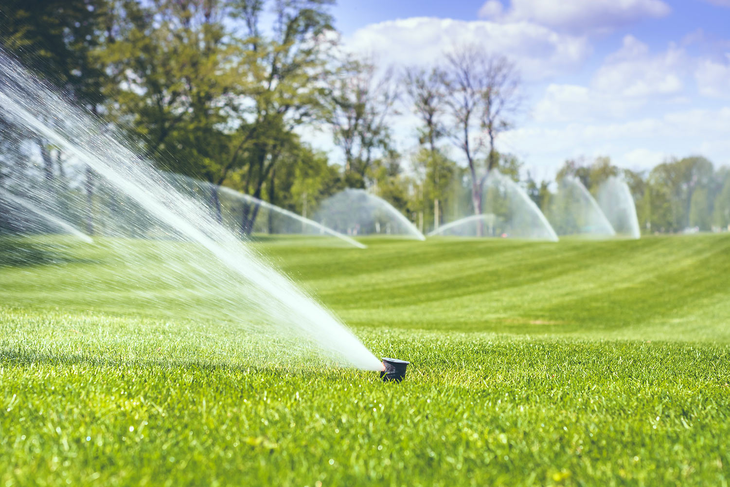 Sustainable Irrigation Methods | Community Resource Advocates ...